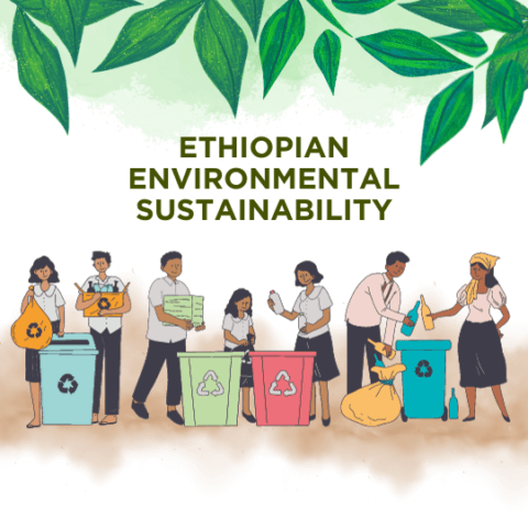 Ethiopian Environmental Sustainability - Elshadai Child Development